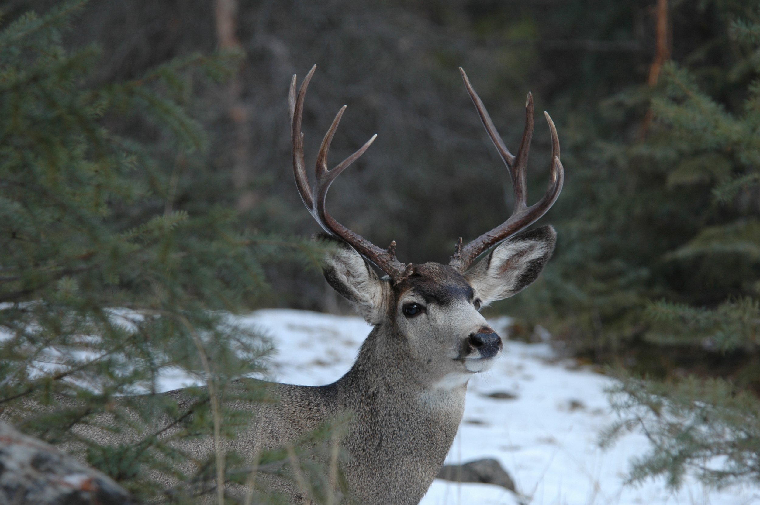 Our People — Alberta Wildlife Federation