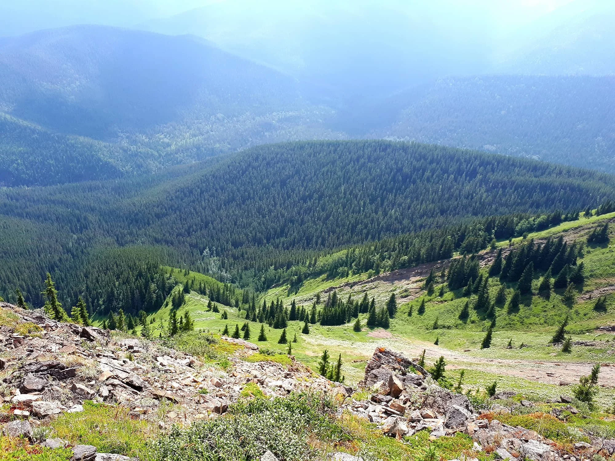 Alberta Wildlife Federation