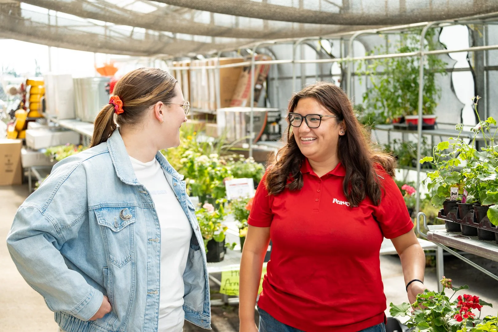 Reaching Independence through Skills & Employment (RISE) — Lethbridge ...