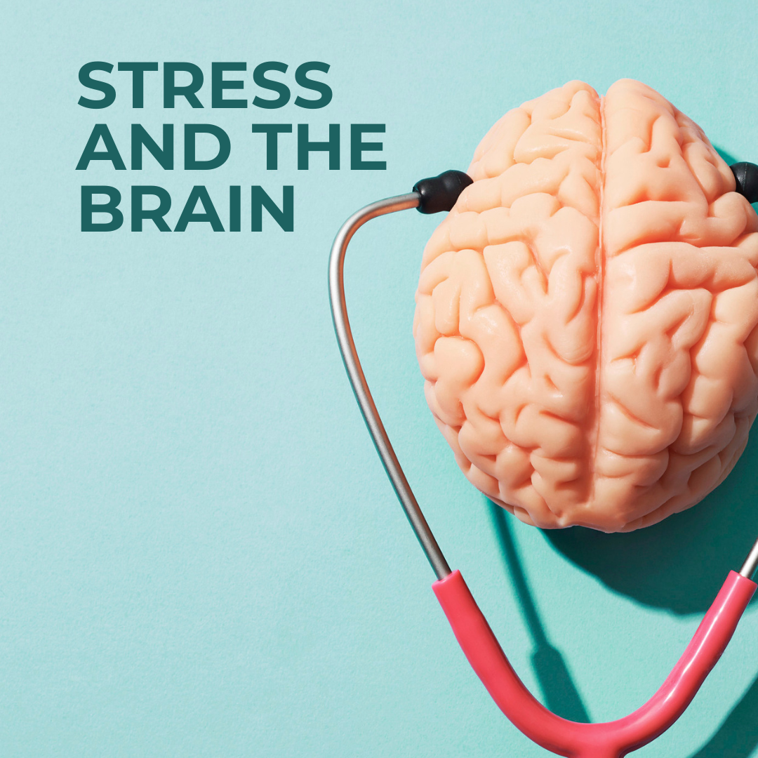 5 Ways Stress Affects Your Brain and How to Mitigate Them | Mindful ... 5 Ways Stress Affects Your Brain and How to Mitigate Them | Mindful ...