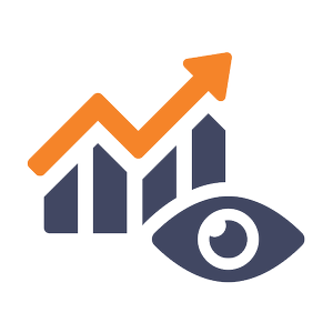 Investment Assessment — StarrWise Solutions