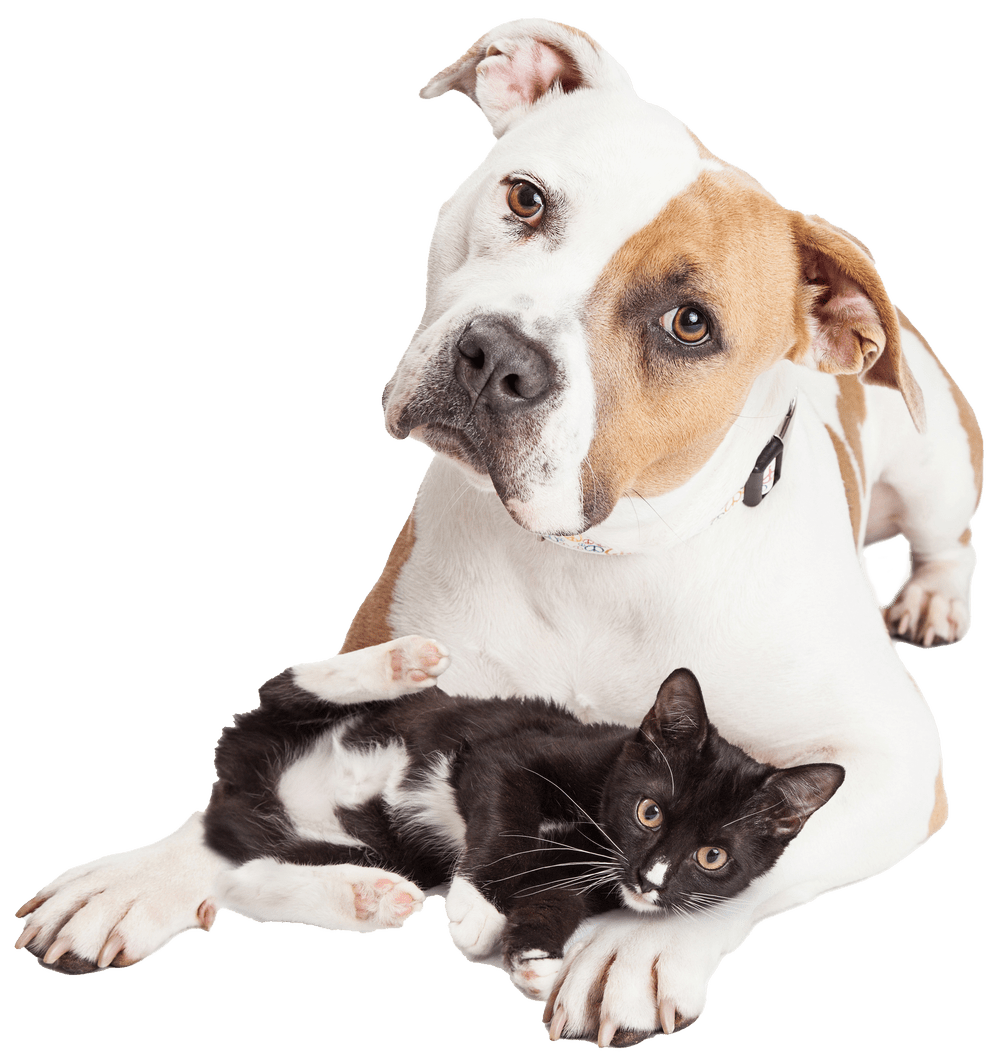 Minter Veterinary Hospital