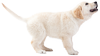 Minter Veterinary Hospital