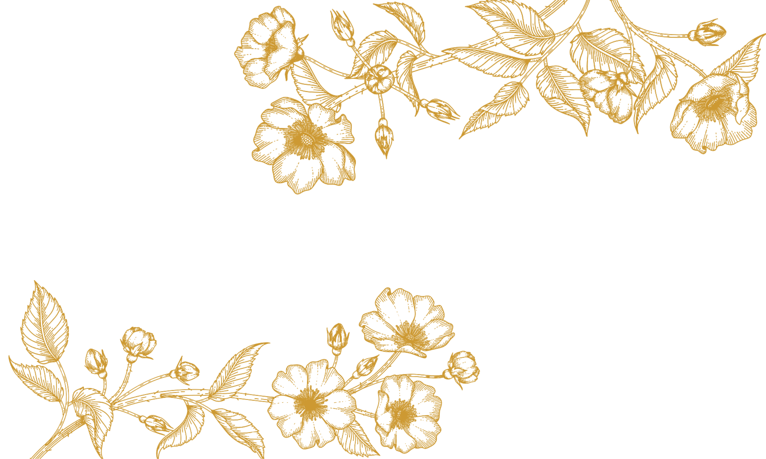 Rose Hill Funeral Home & Memorial Park