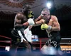 Premier Boxing Series