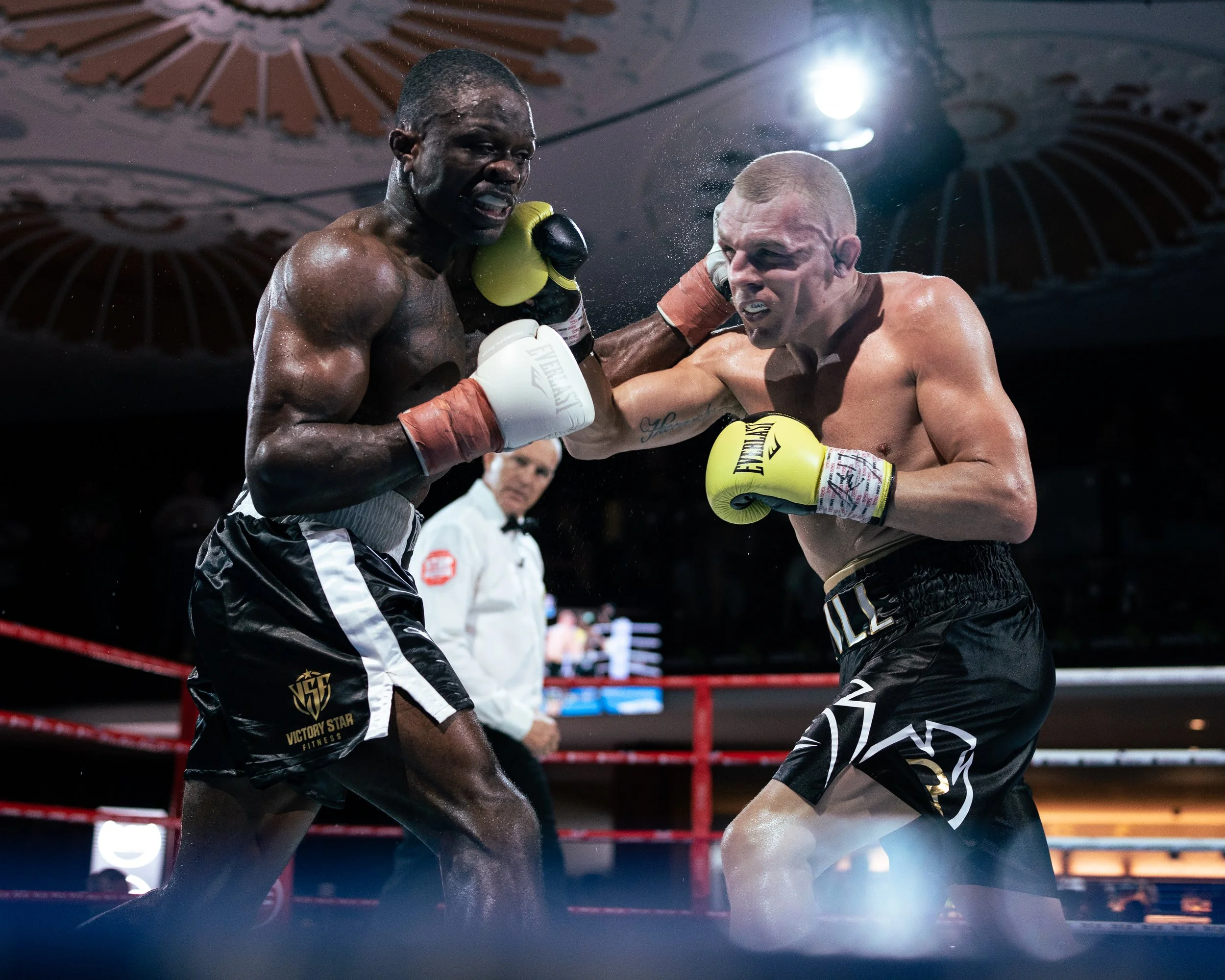 Premier Boxing Series