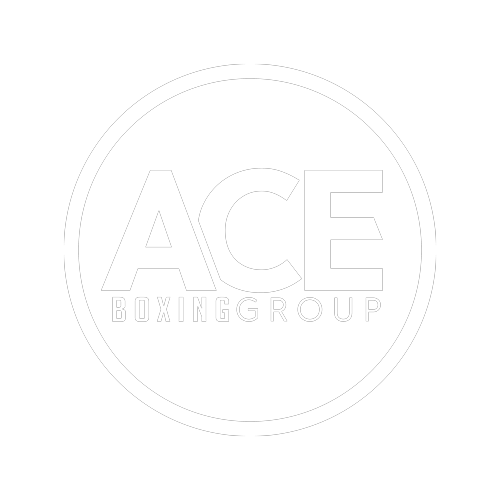 Premier Boxing Series