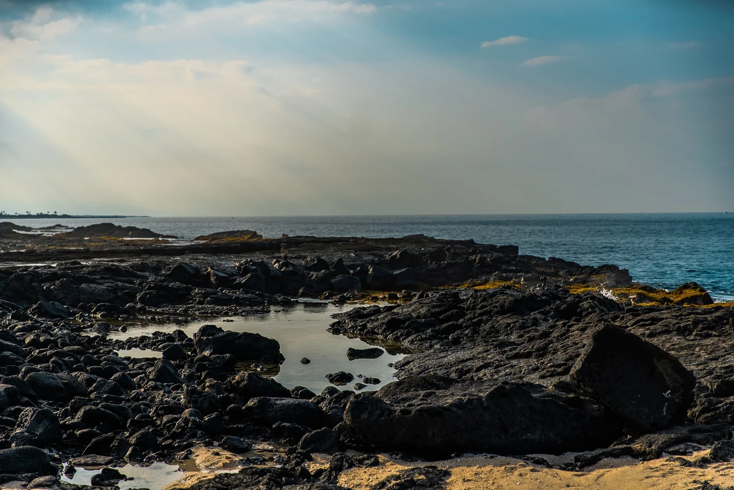 The Symbrosia Foundation