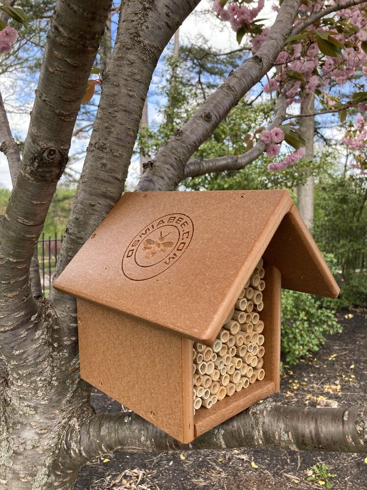 The Eco Bee House — Osmia Bee | Raise Native Bees in your own Backyard