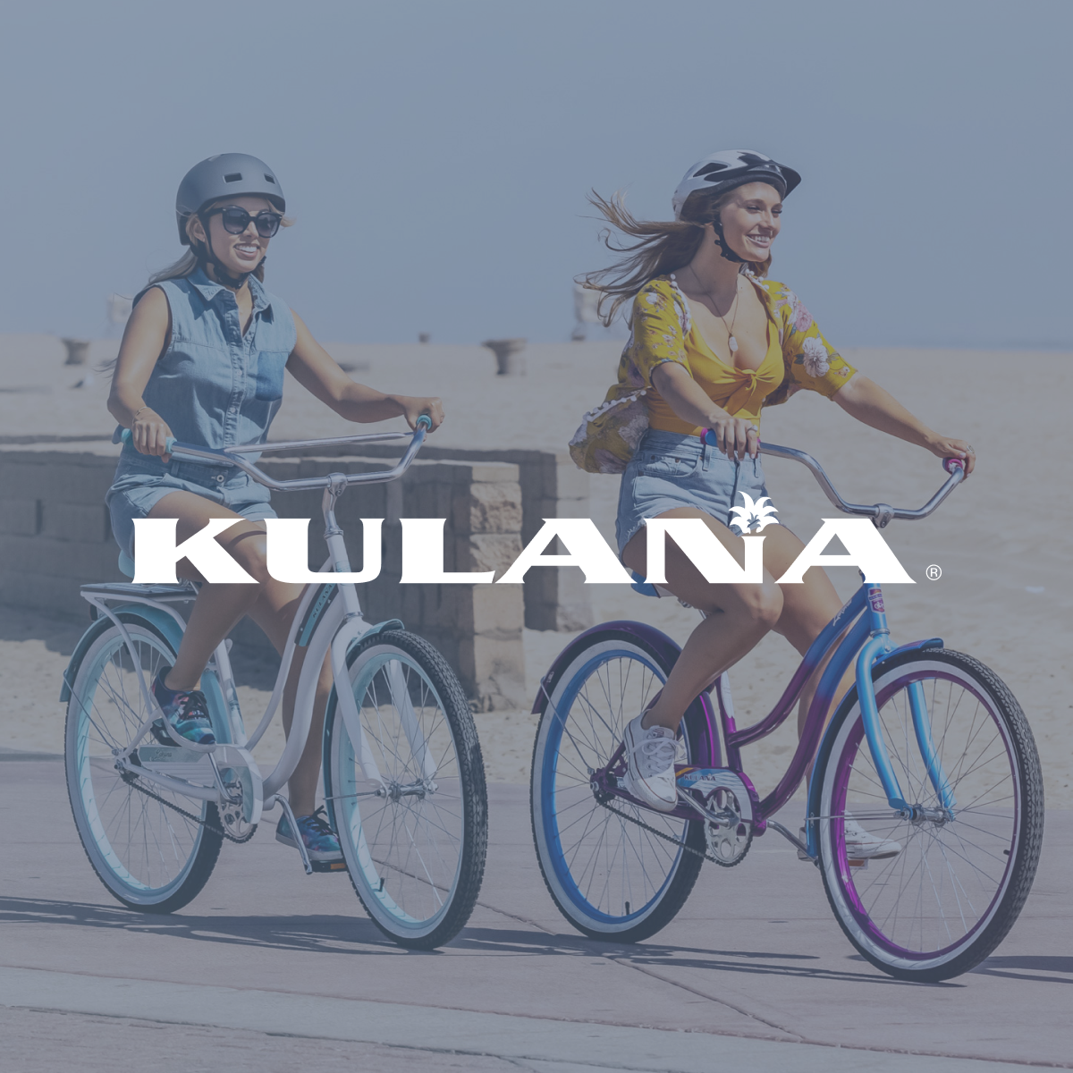 Brands — Pacific Cycle - Schwinn & Mongoose