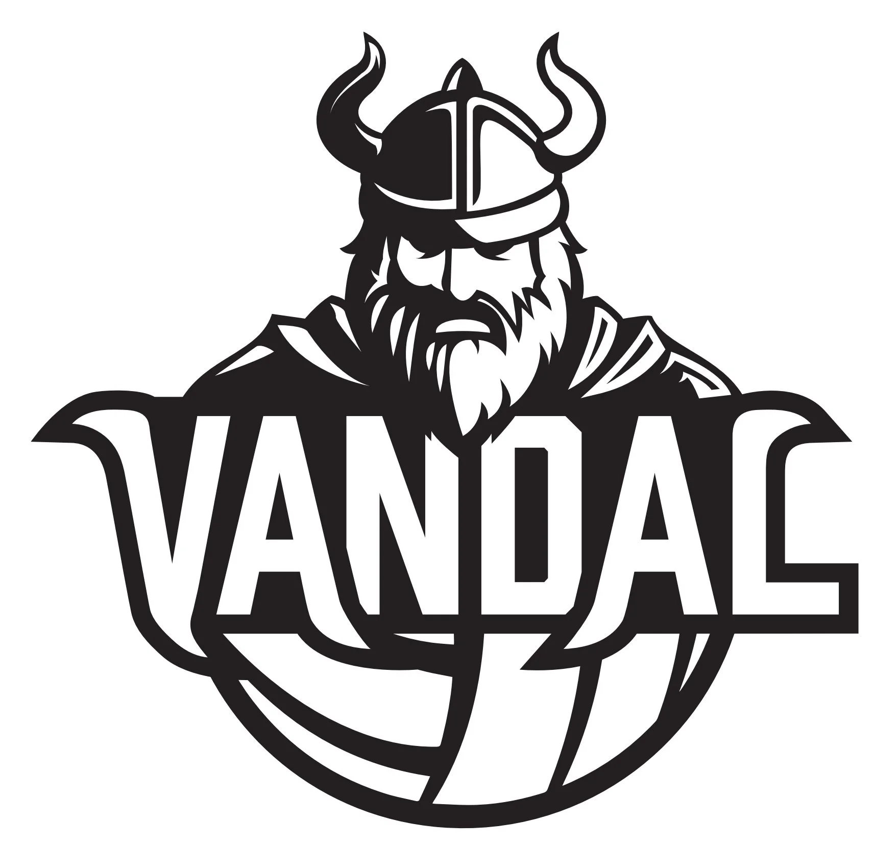 VANDAL VOLLEYBALL