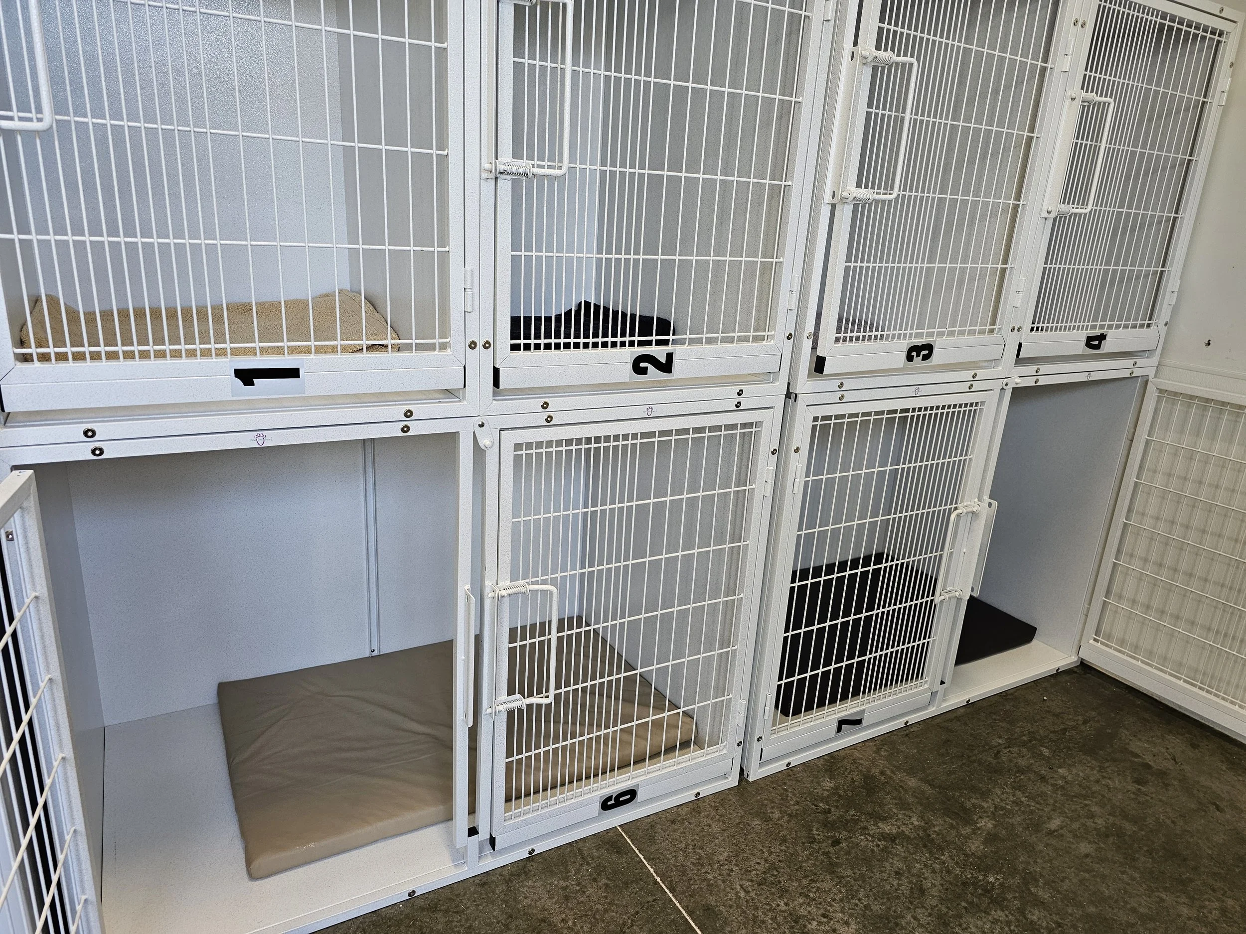 K9 Boarding — Sport Dogs Complex