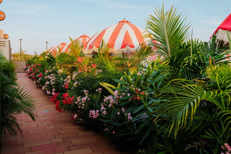 Privada Stays - Private Pools & Colorful-Chic Boutique Hotel in Aruba