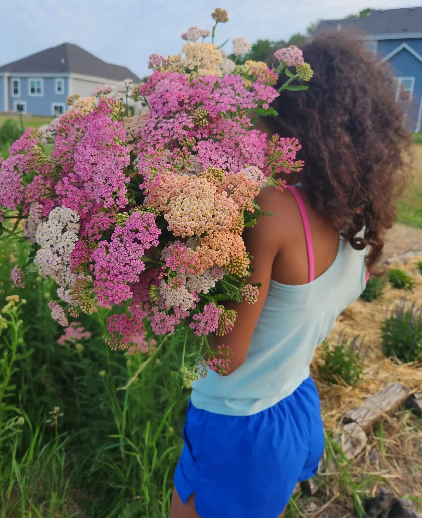 About 3 — Backyard Blooms
