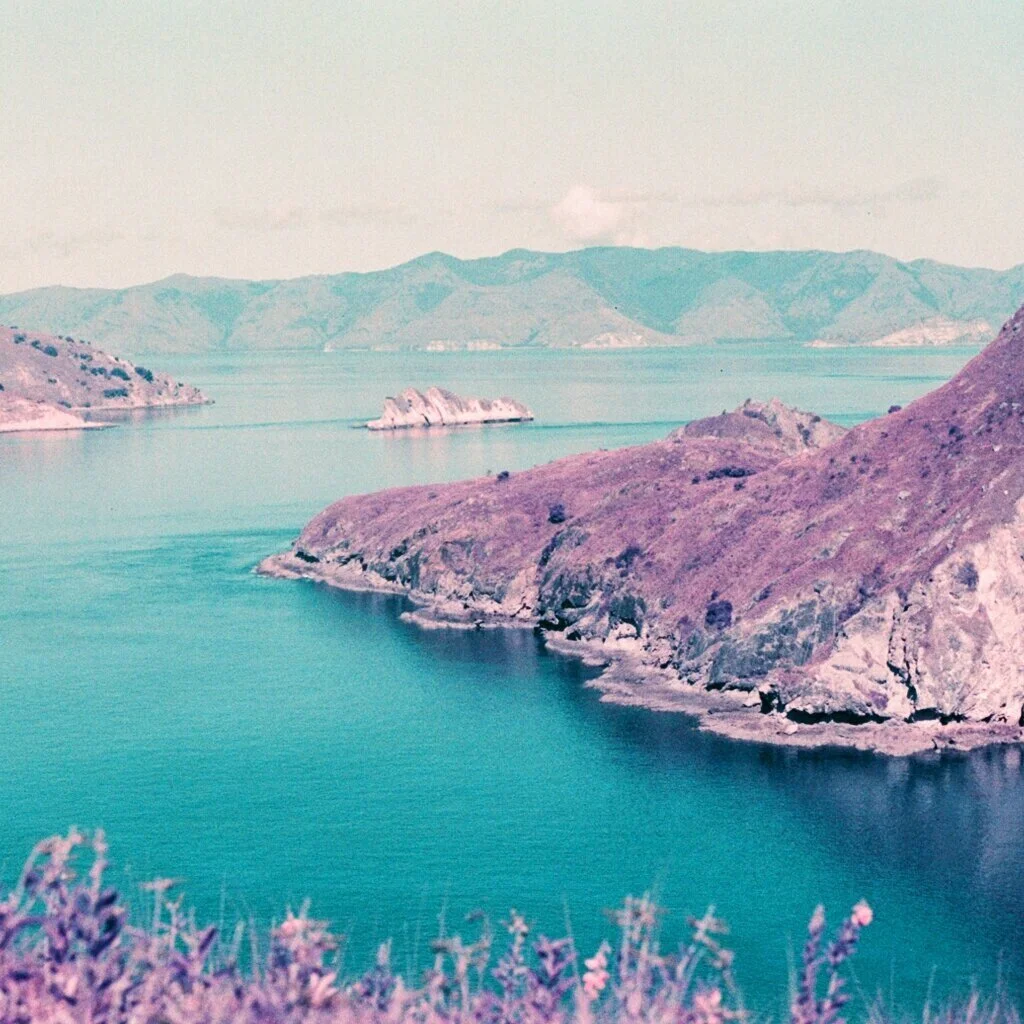 ALL PROJECTS — ZOE LOWER