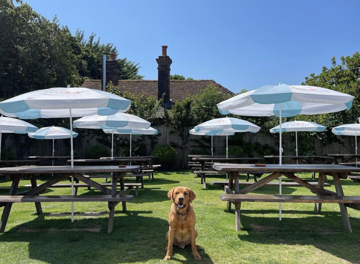 Gallery | Discover, View, Experience Now — The Woodcock Inn