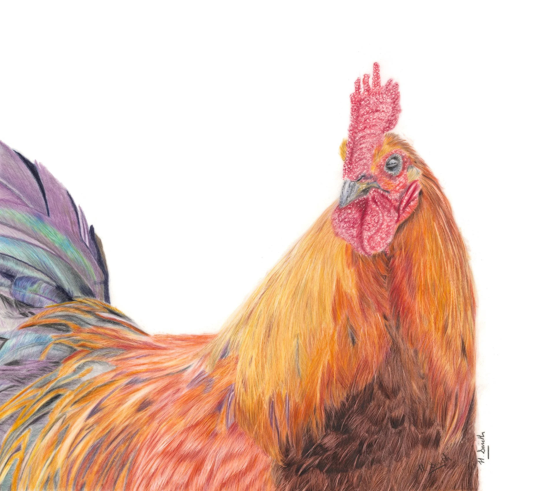 Portfolio — Hilda Smith Fyne Art