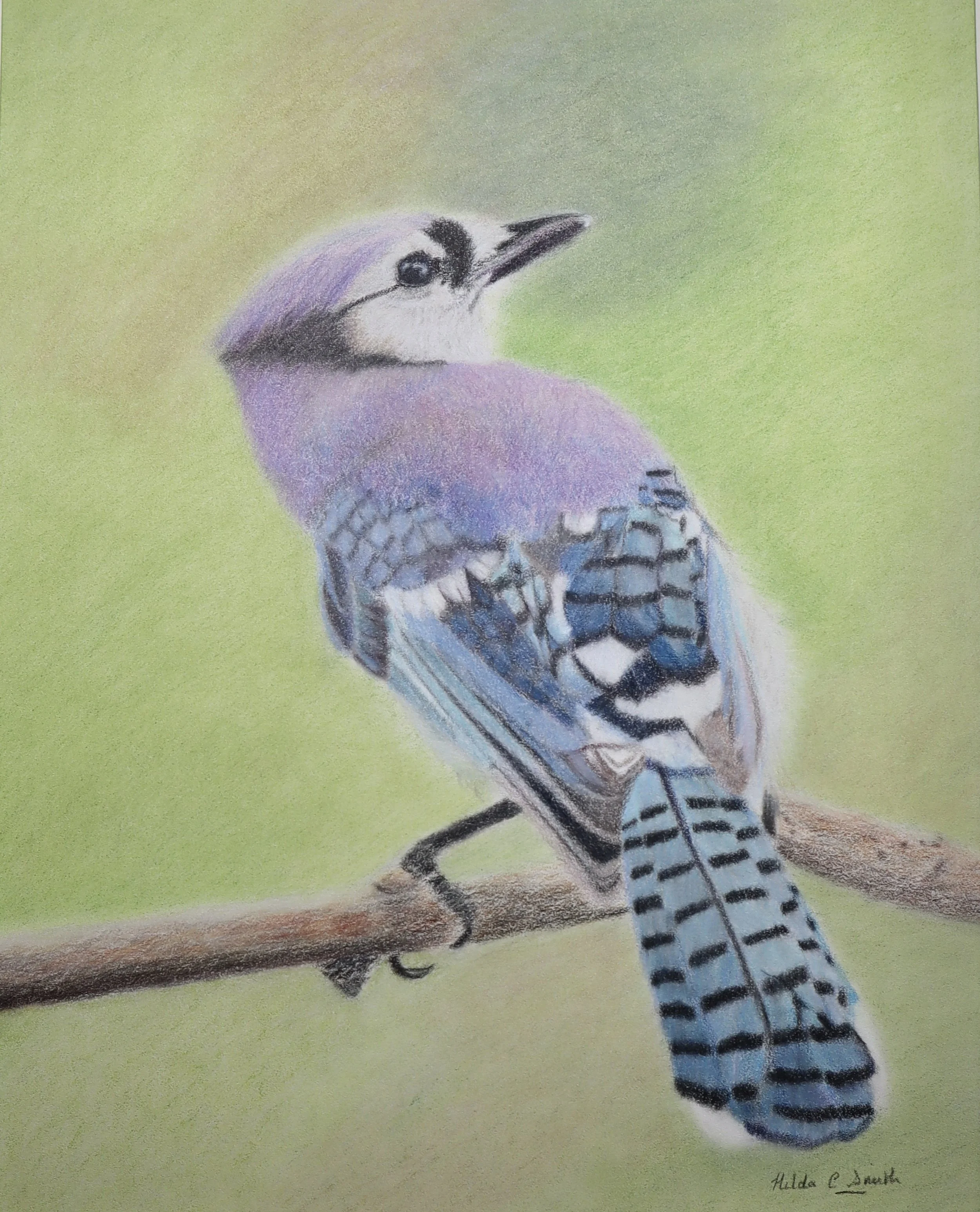 Hilda Smith Fyne Art