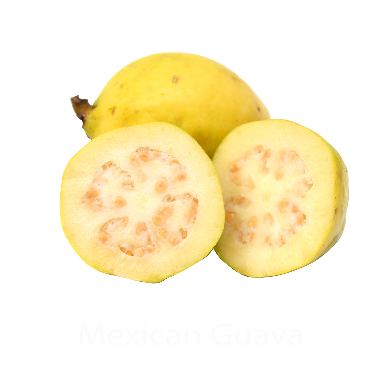 Mexican Guava | Explore Exotic Fruits Today — Freshway Produce