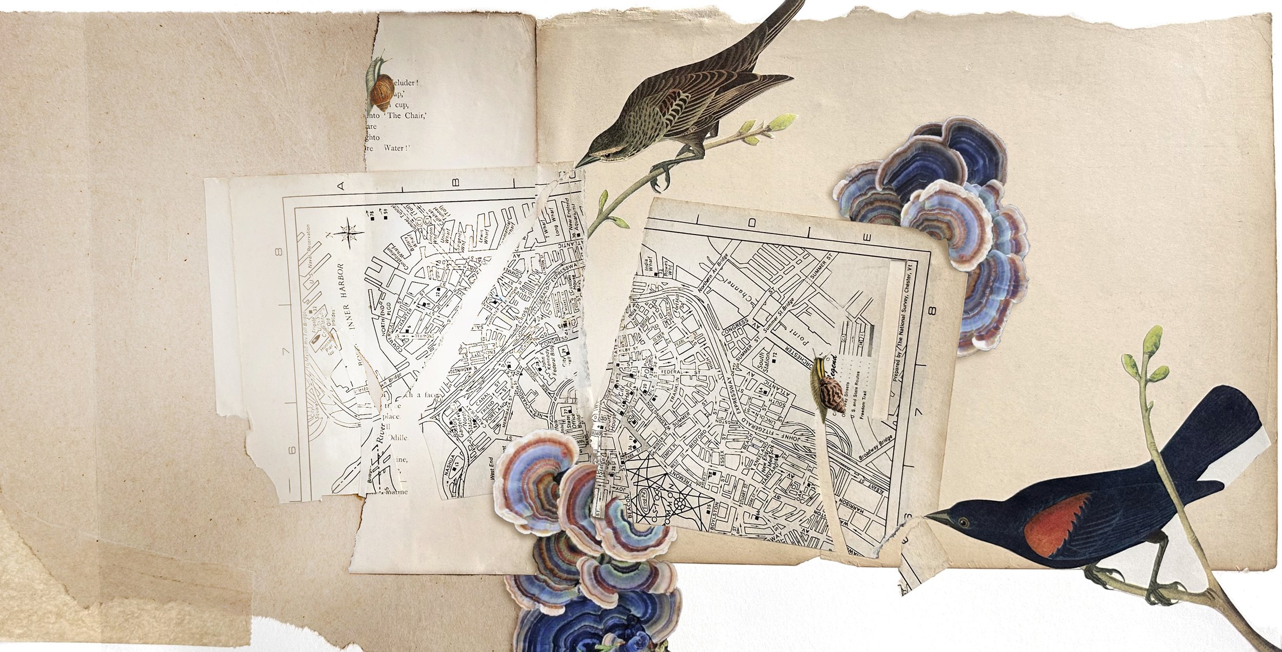 LAND JUSTICE FUTURES