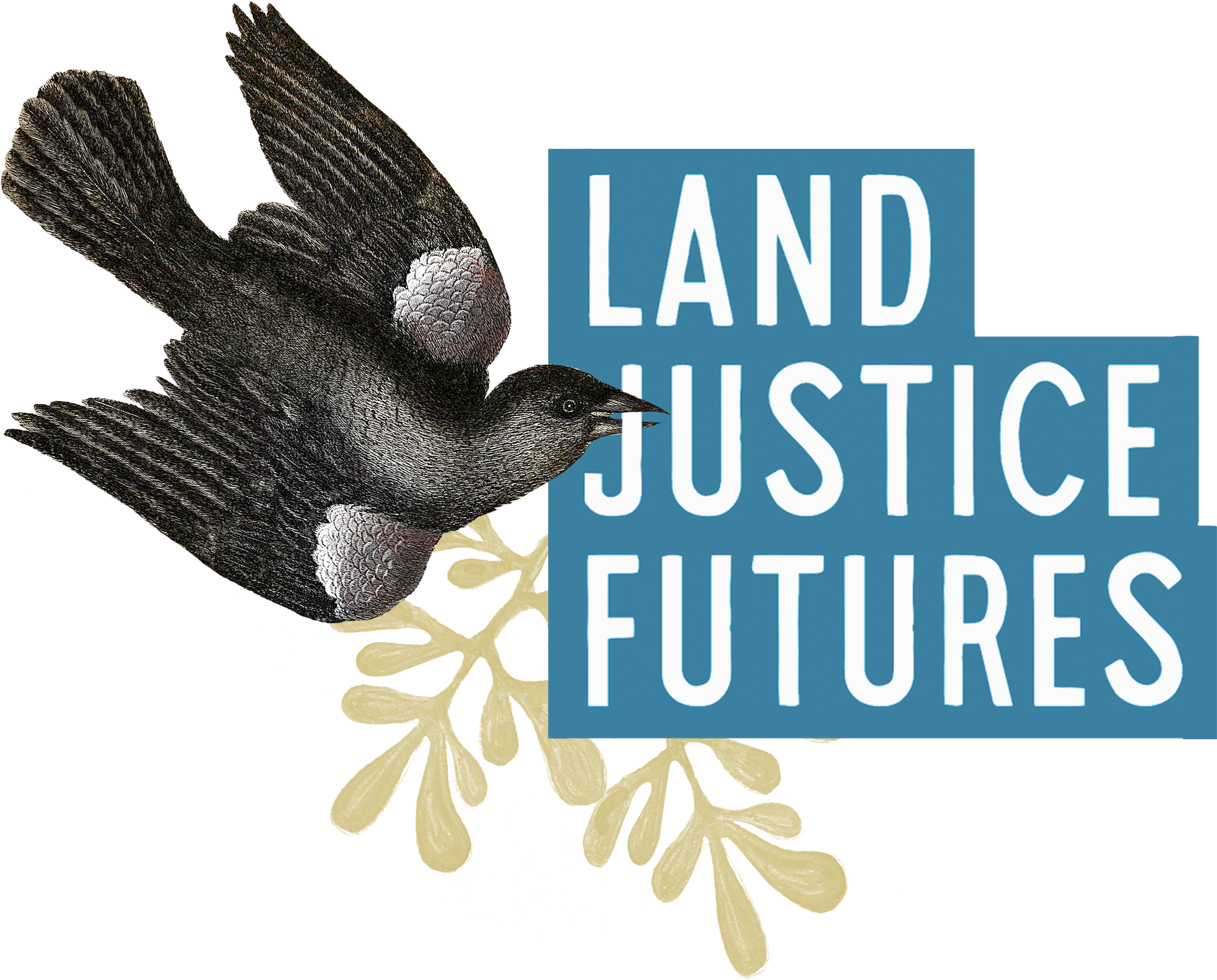 LAND JUSTICE FUTURES