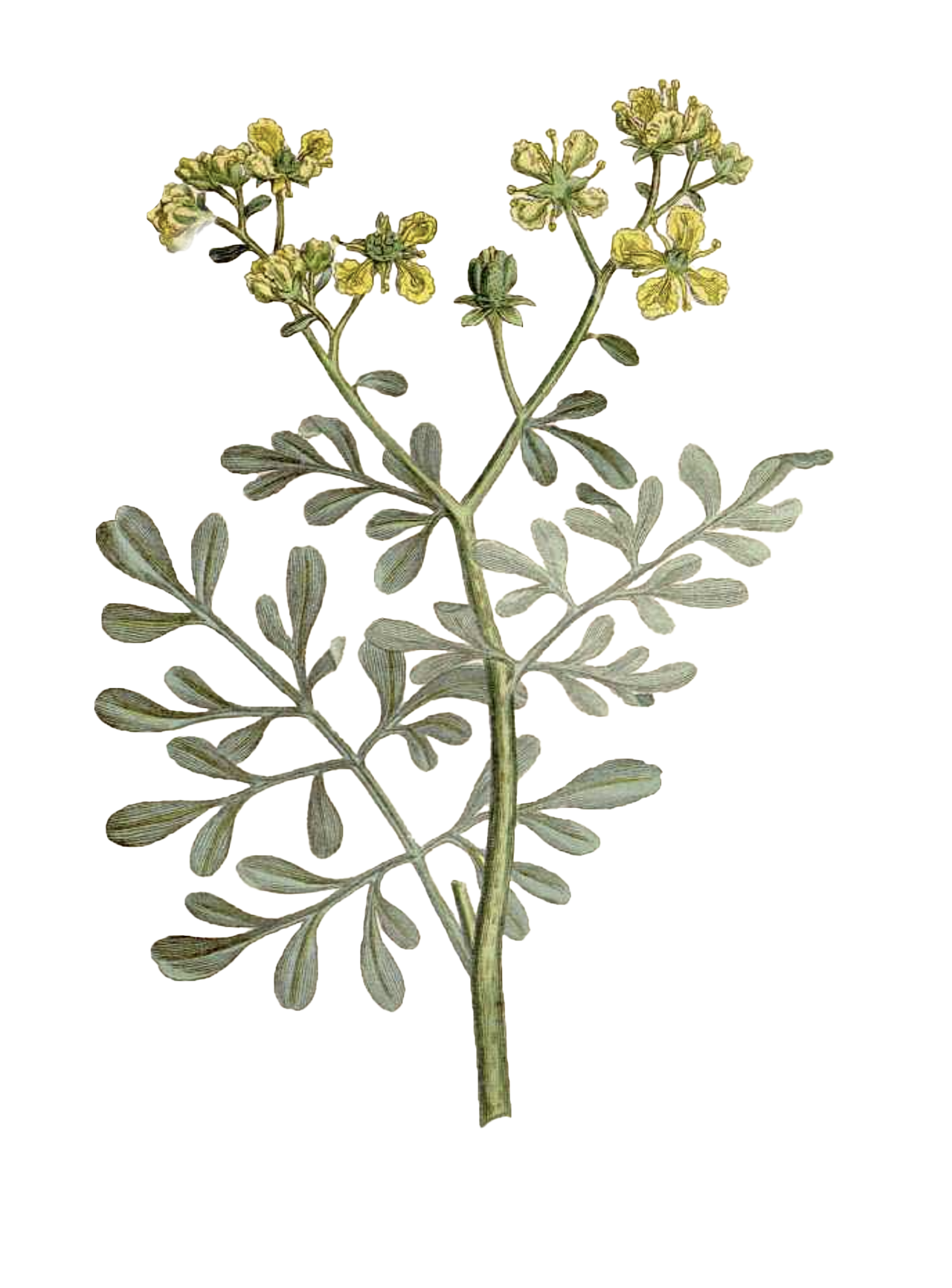 Learning Platform — LAND JUSTICE FUTURES