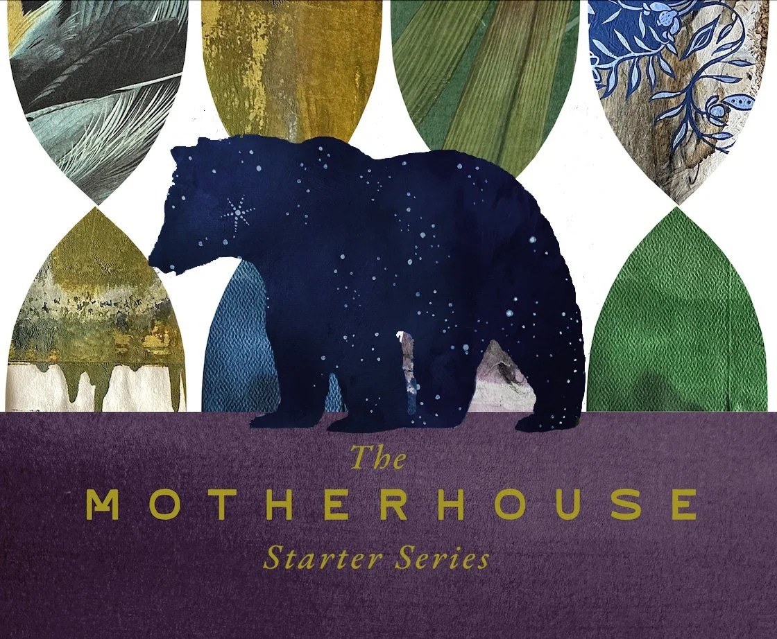 LAND JUSTICE FUTURES