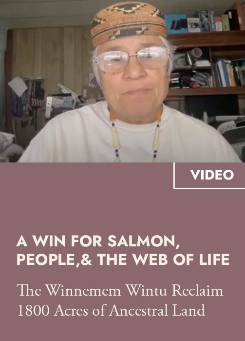 LAND JUSTICE FUTURES