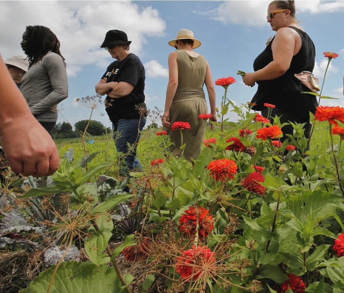 Learning Platform — LAND JUSTICE FUTURES