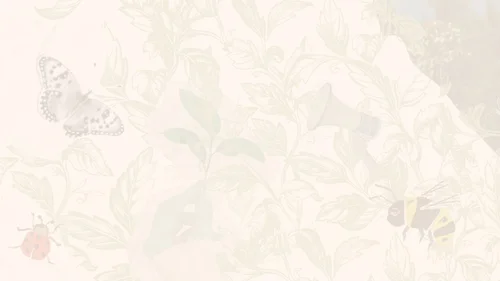 The LNRS Process — Island Nature