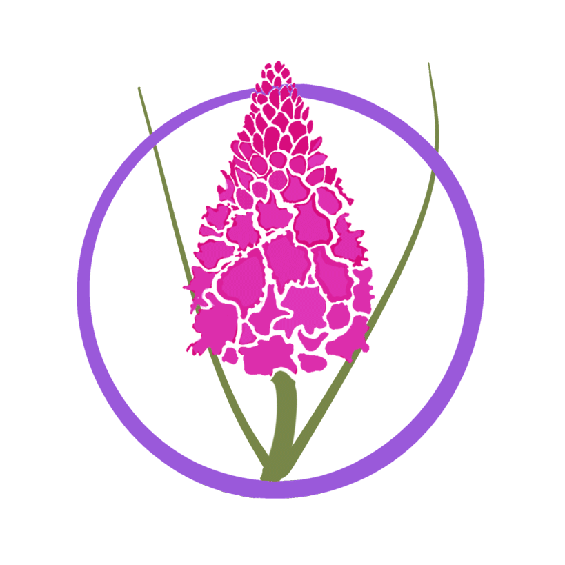 The LNRS Process — Island Nature