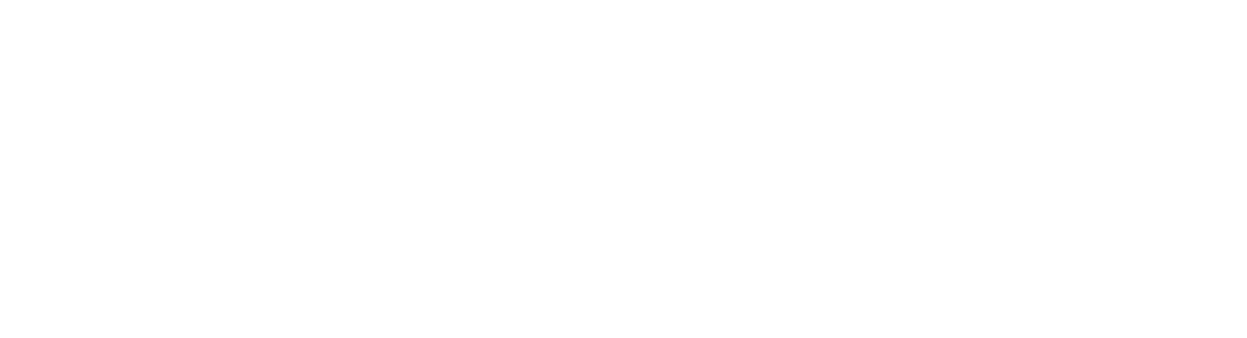 Leadership Team — Arion