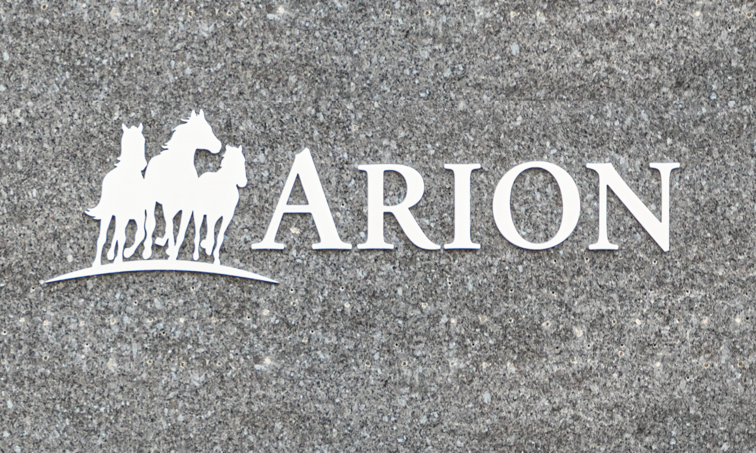Our Story — Arion