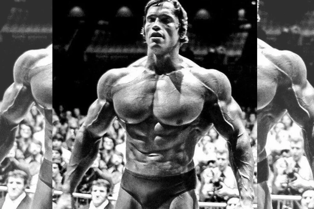 La historia de Arnold Schwarzenegger (Biografía) - Fitness Noticias