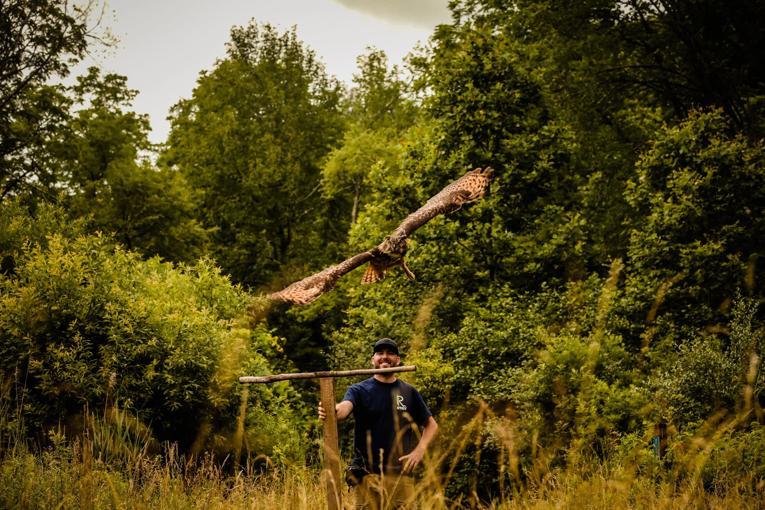 Our Mission — Raptor Hallow Sanctuary