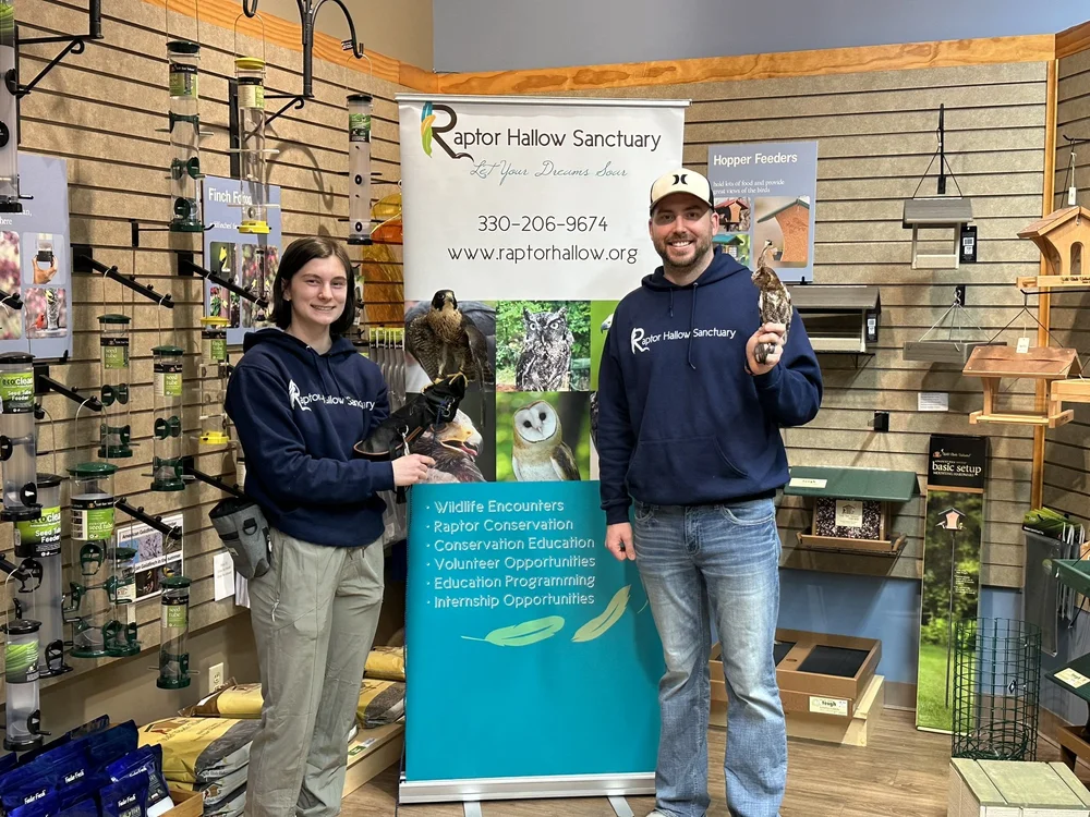 Programs — Raptor Hallow Sanctuary