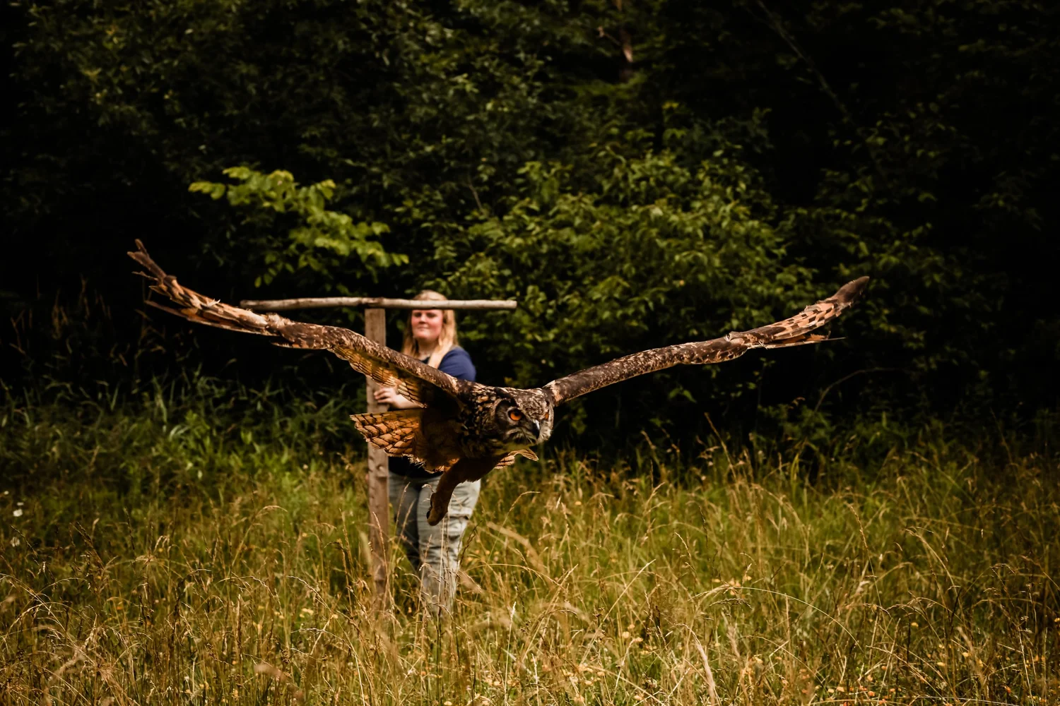 Encounters — Raptor Hallow Sanctuary