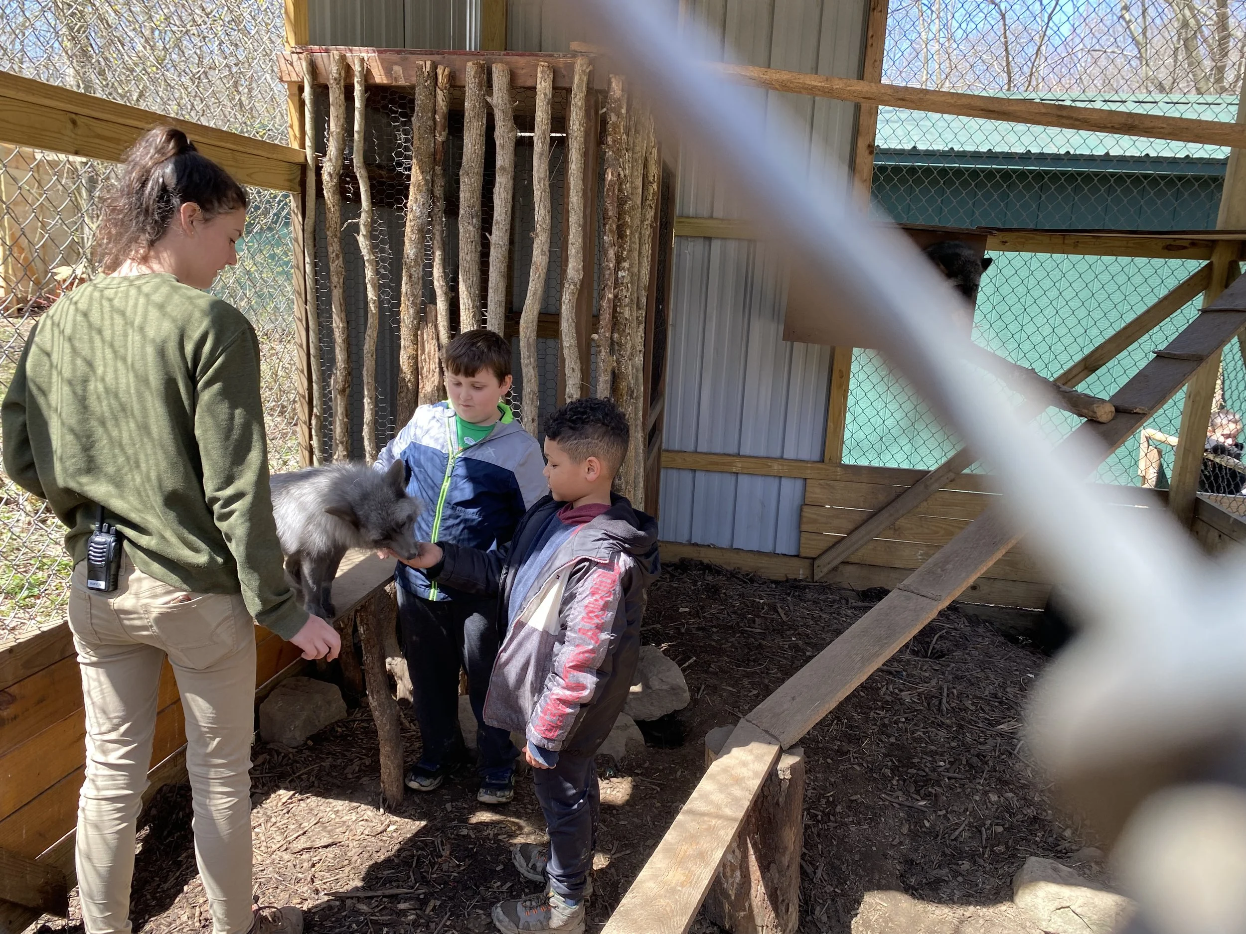 Encounters — Raptor Hallow Sanctuary