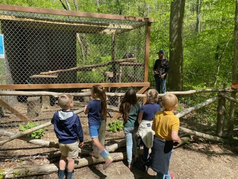 Plan Your Visit — Raptor Hallow Sanctuary