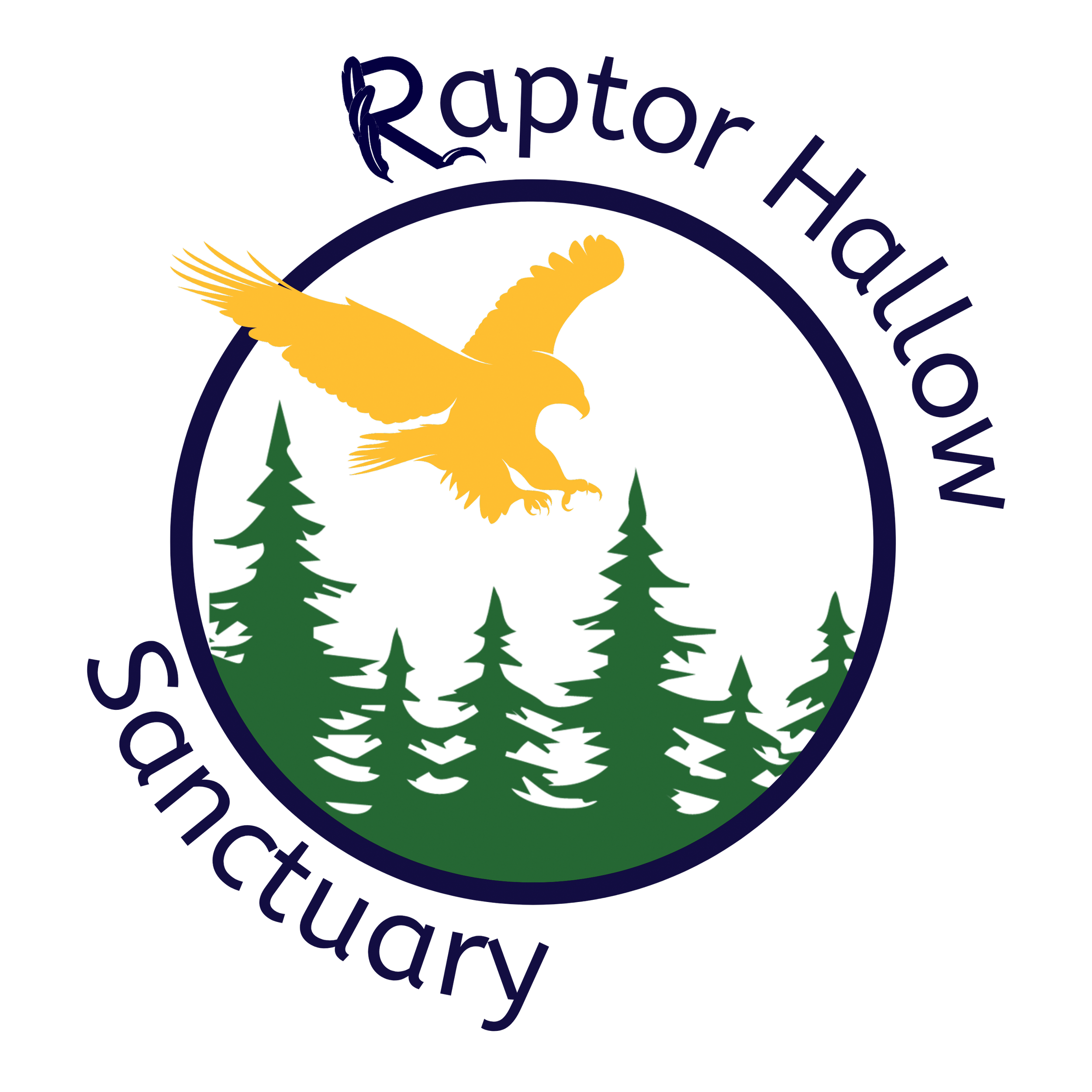 Barred Owls — Raptor Hallow Sanctuary