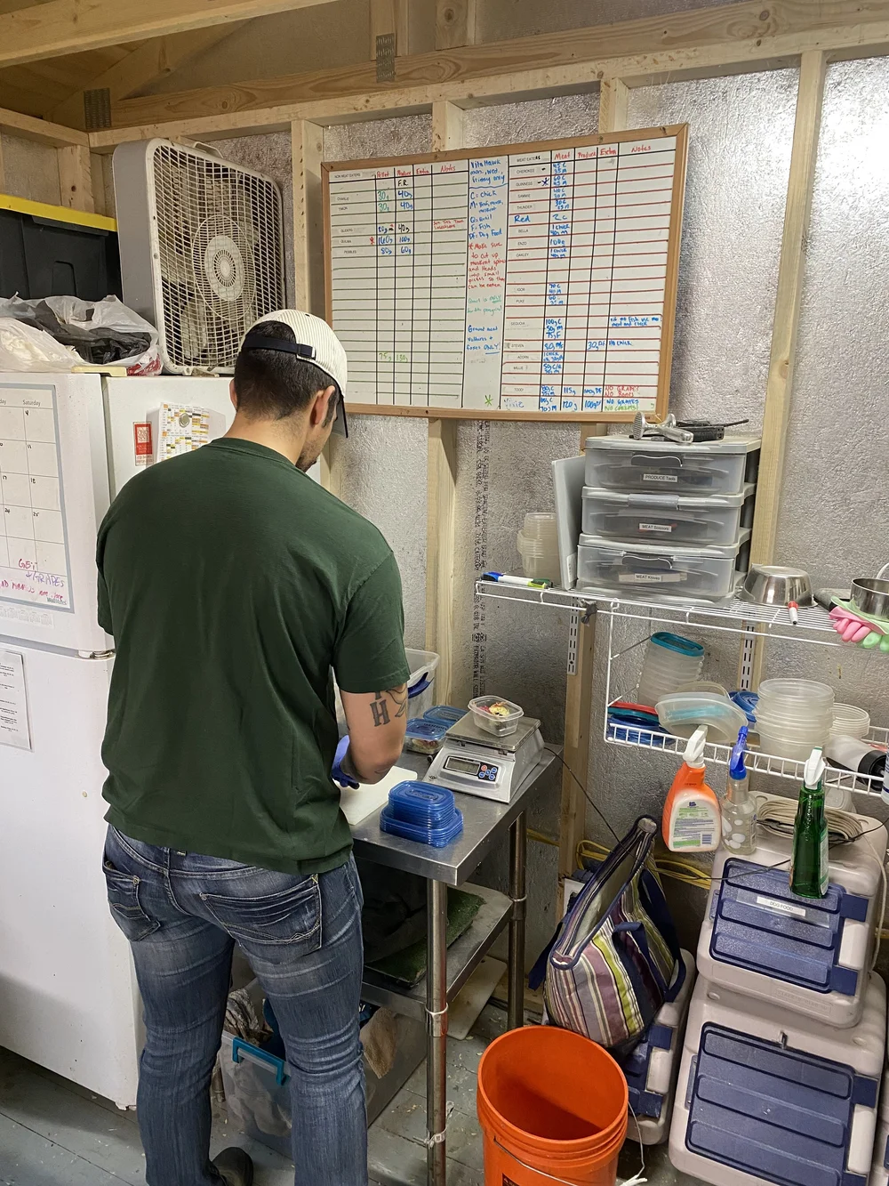 Encounters — Raptor Hallow Sanctuary