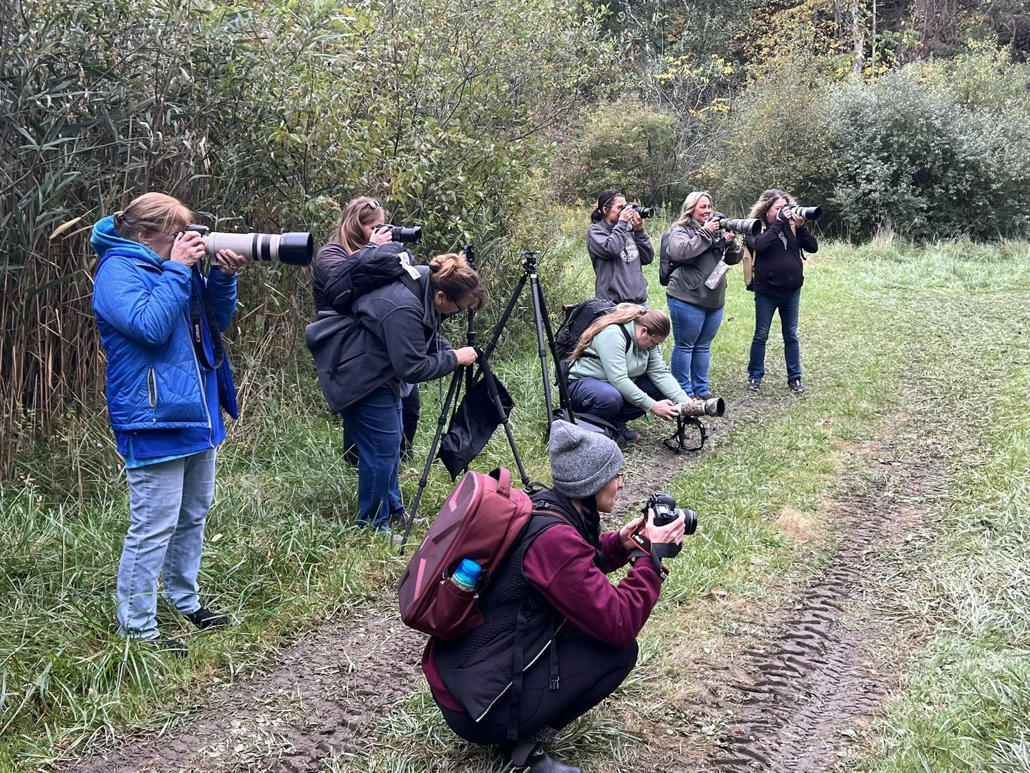 Raptor Hallow Sanctuary