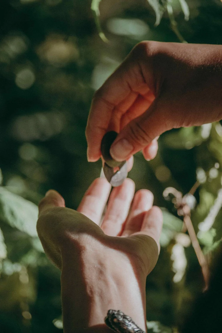 Finding I Ching Clarity — I Ching Course Online: Hexagrams & Daoist ...
