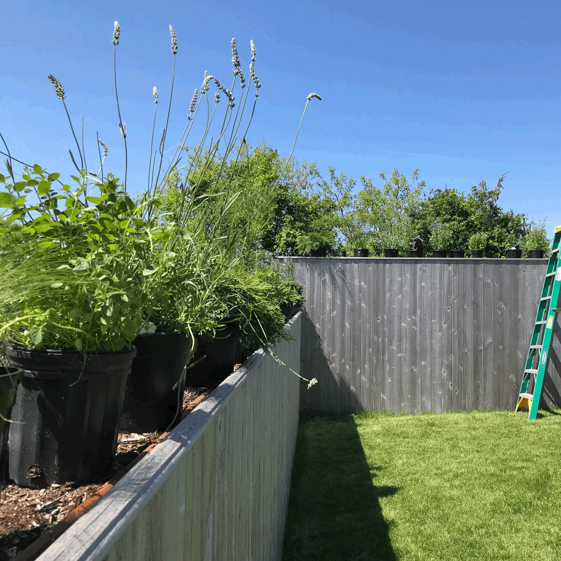 Florabundant Nantucket's #1 Island Florist