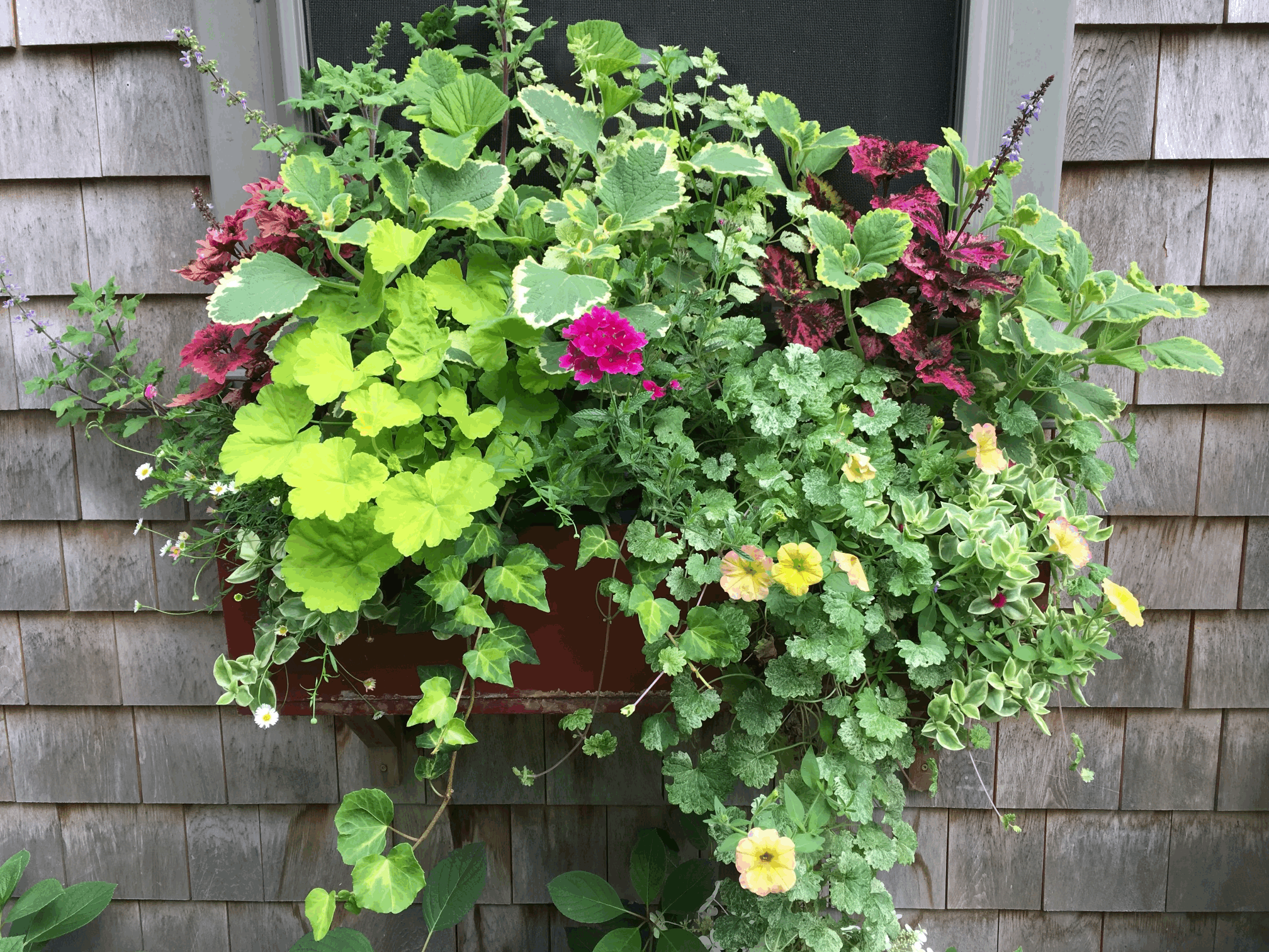 Florabundant Nantucket's #1 Island Florist