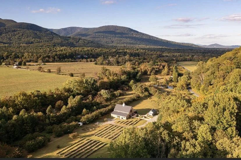 Silver Fox Lavender Farm - Home