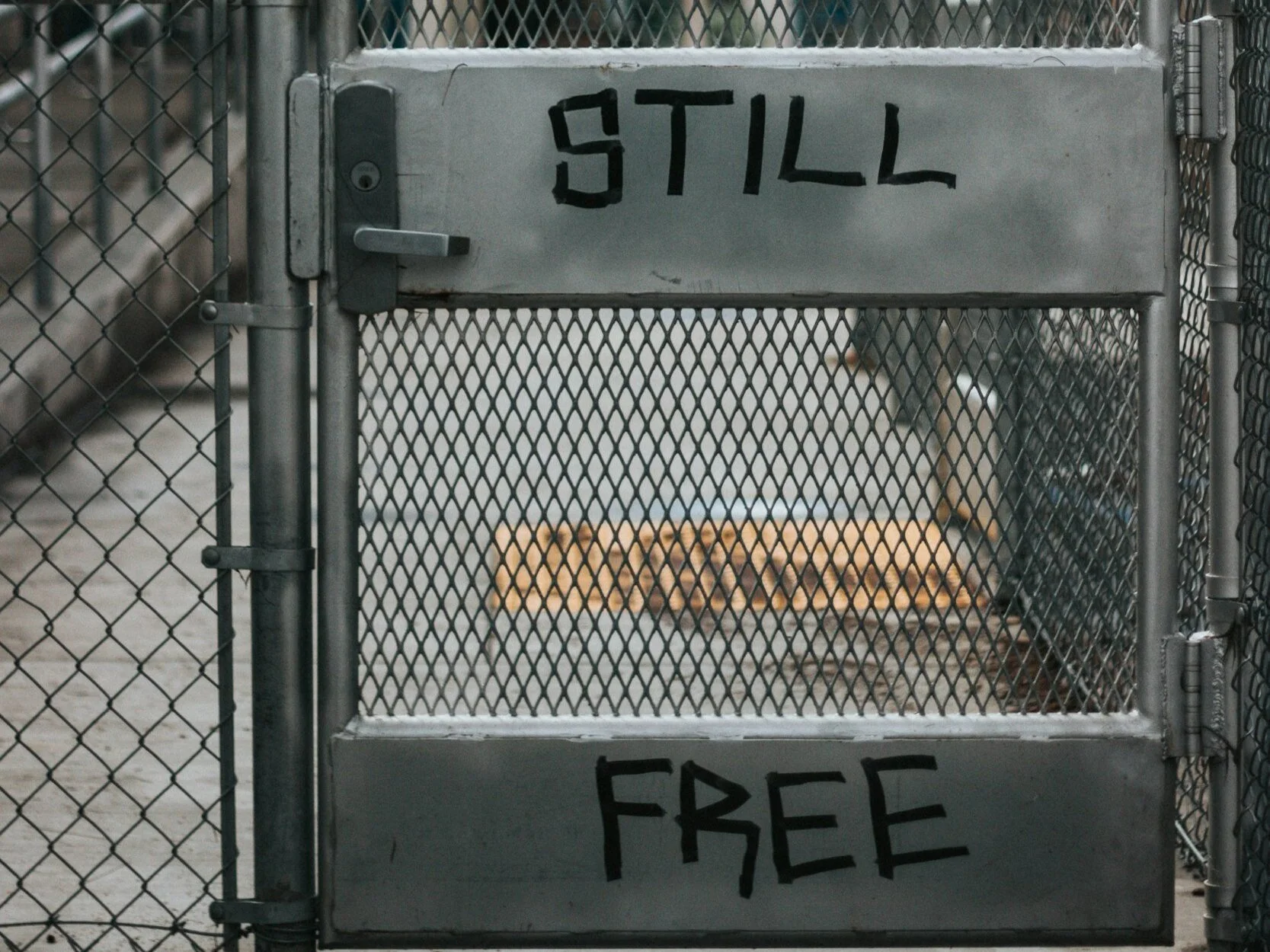 Hope Dealers Prison Reform