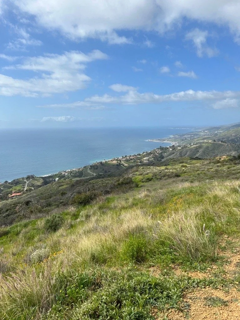 Tuna Canyon — Grateful Bench