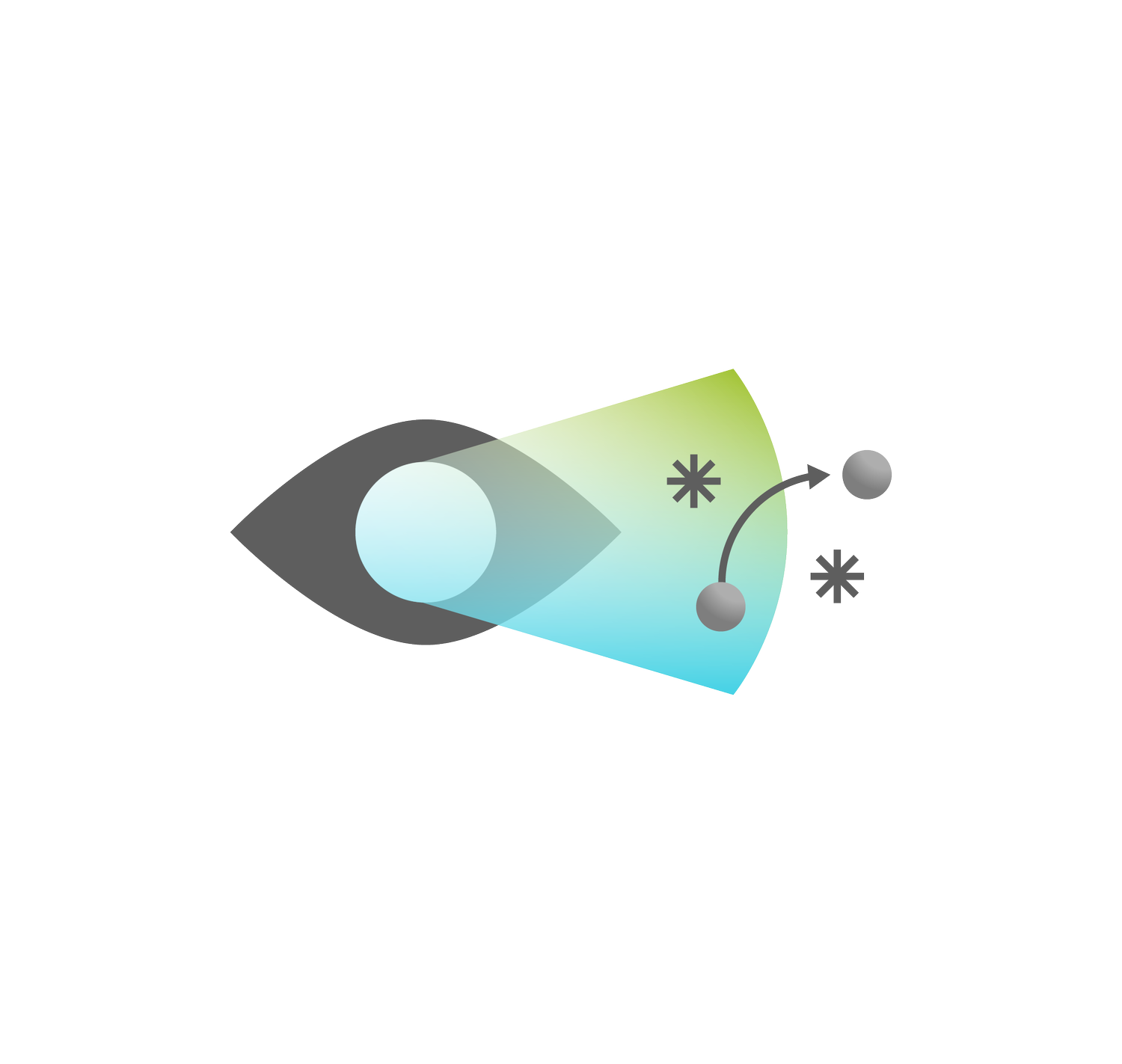 Foresight Management