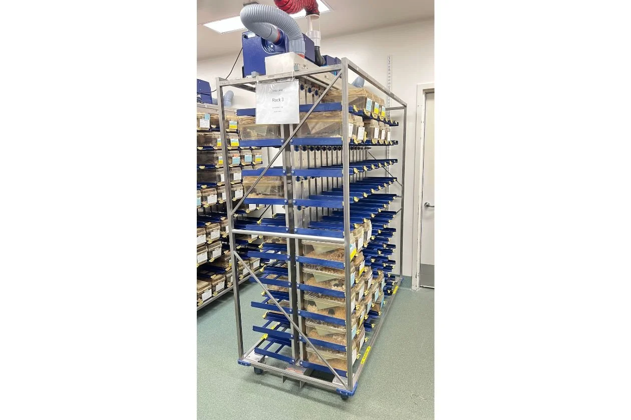 Tecniplast Green Line Rat Rack - 70 Cage, Double Sided, GR900 (DGR70 ...